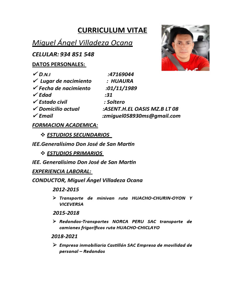 CURRICULUM VITAE Miguel | PDF