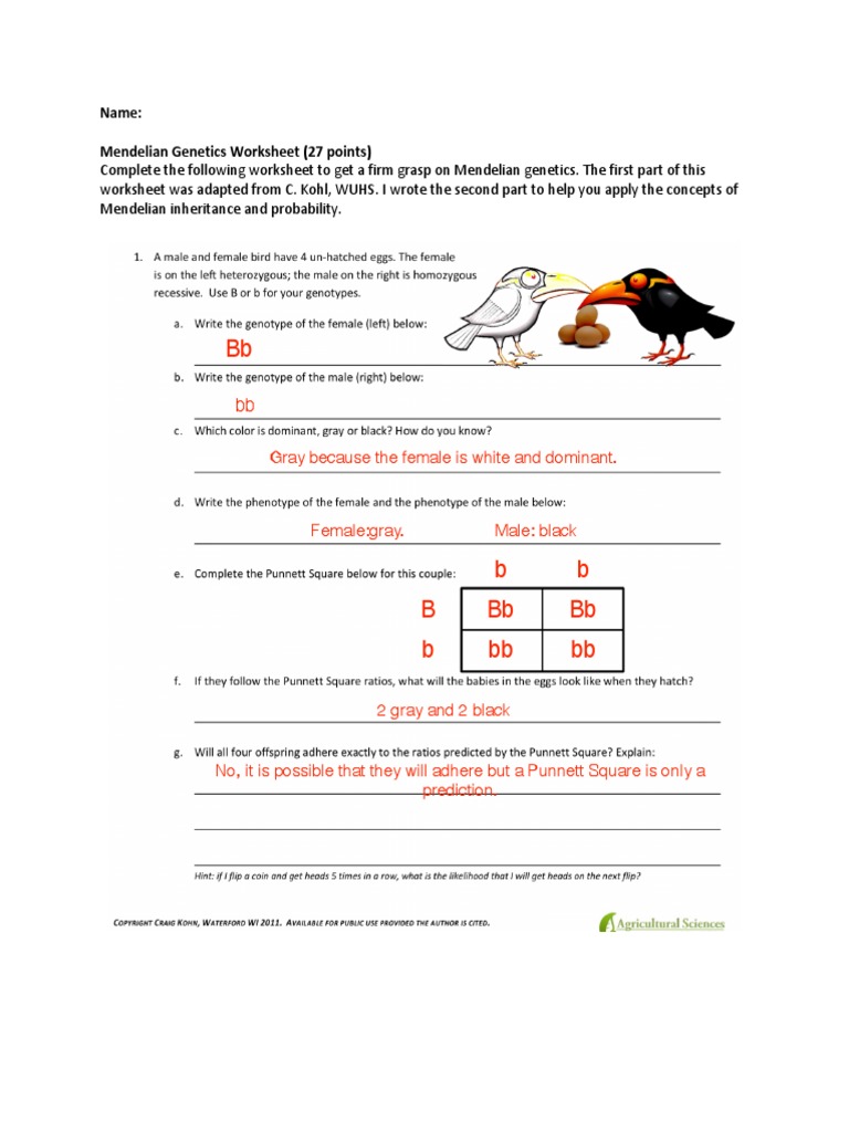 Mendelian Genetics Practice Worksheet | PDF | Dominance (Genetics ...