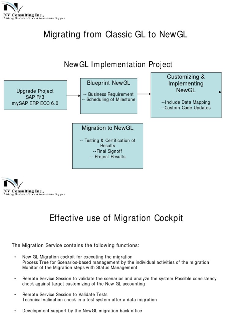 SAP NewGL Migration Guide | PDF | Business