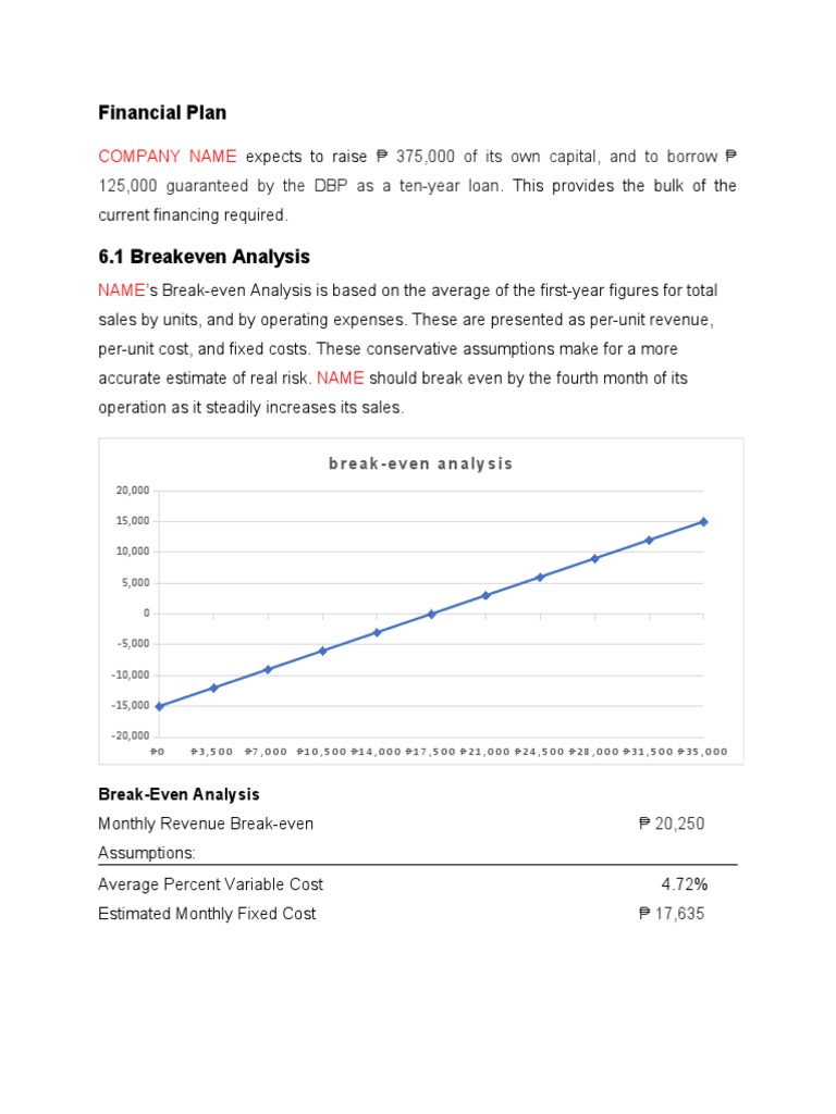 Financial Plan: Company Name | PDF | Balance Sheet | Economies