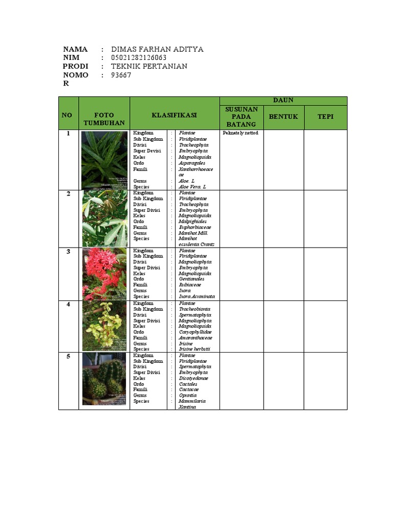 Dokumen Dimas Farhan Aditya | PDF