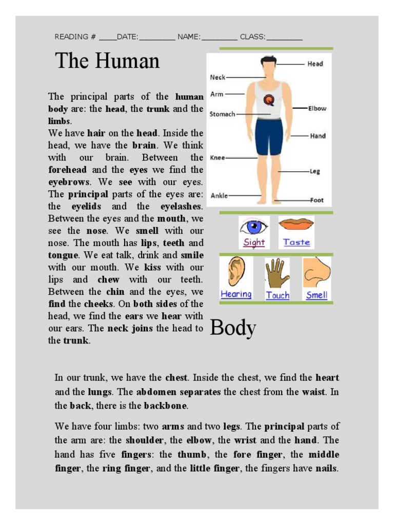 Human Body Reading | PDF