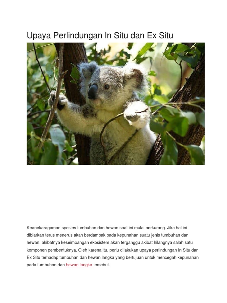 Upaya Perlindungan in Situ Dan Ex Situ | PDF