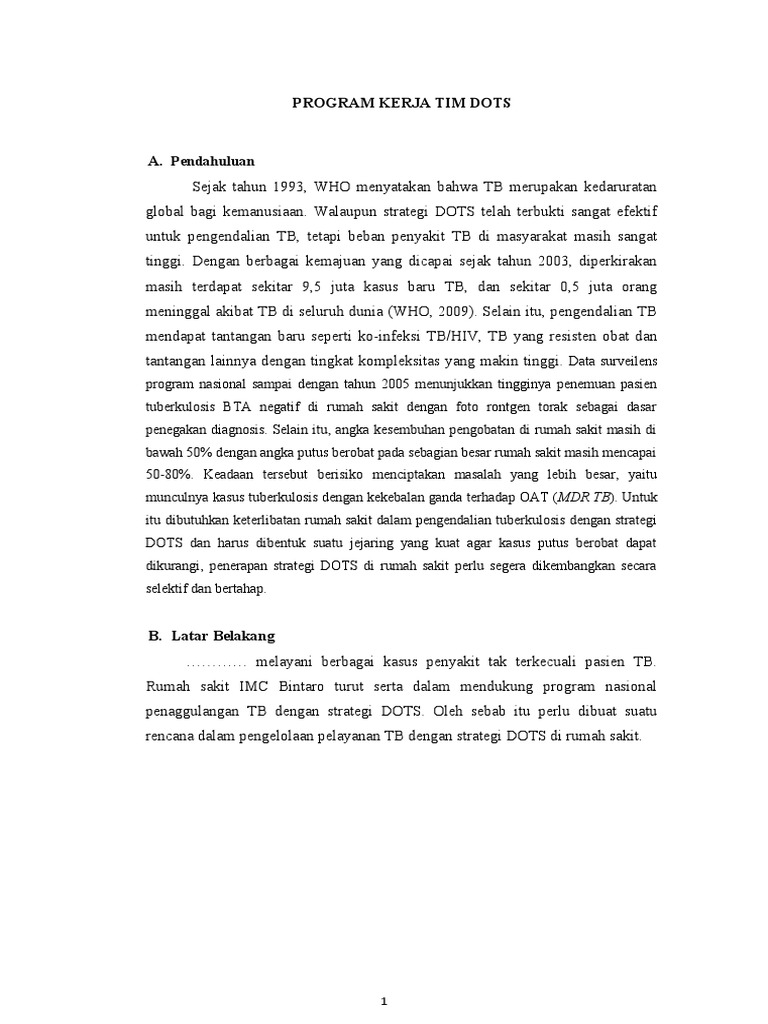 Program Kerja TB DOTS | PDF