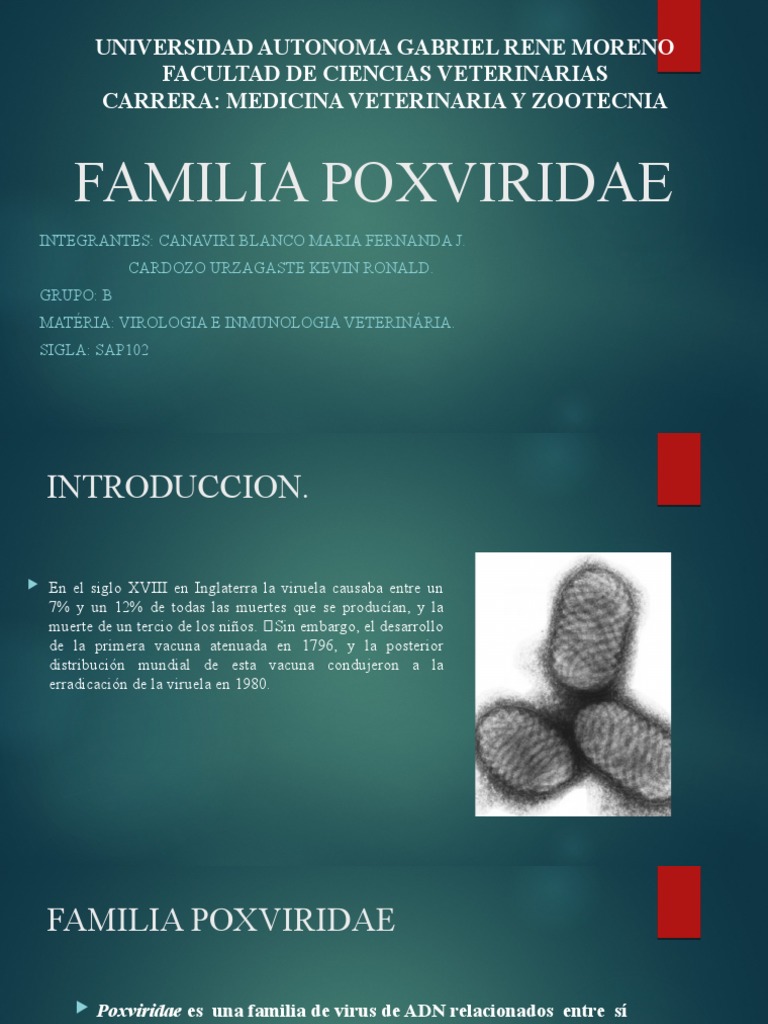 Familia Poxviridae | PDF | Virus | Viruela