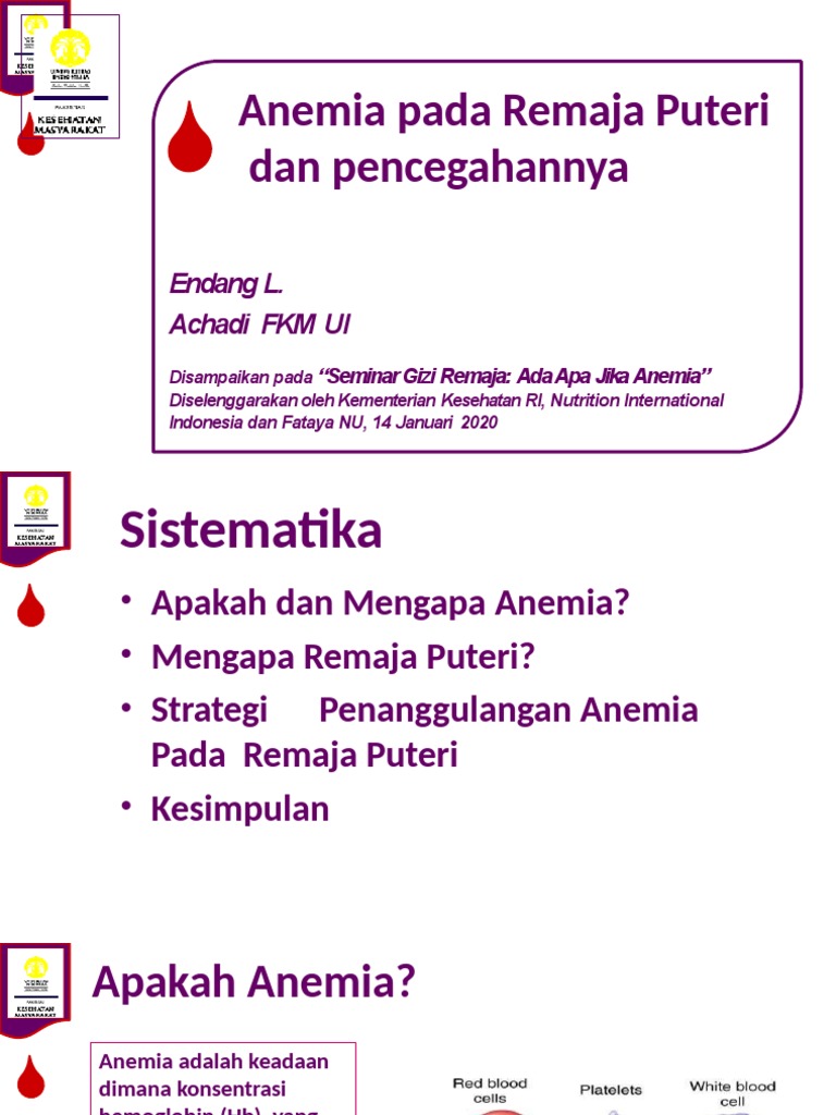 Anemia Pada Rematri & Pencegahannya | PDF