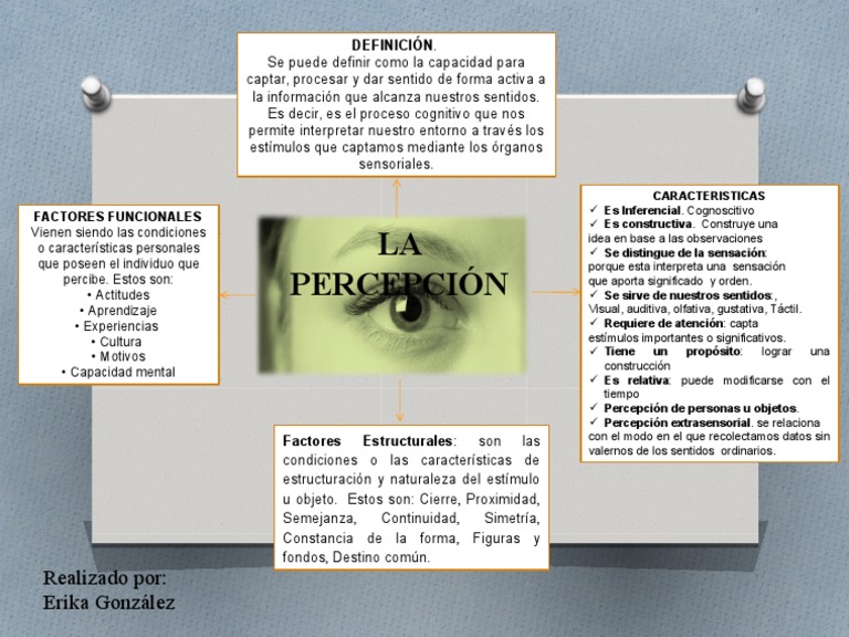 La Percepcion Mapa Conceptual | PDF | Percepción | Cognición