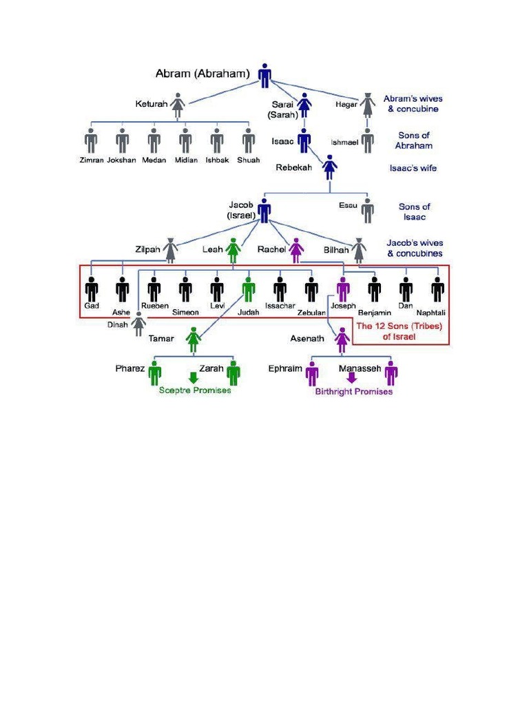 Genealogia Abraham | PDF