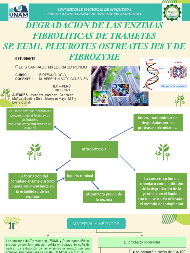 Degradación de Las Enzimas Fibrolíticas de Trametes Sp. Eum1, Pleurotus ...