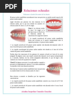 Relaciones Molares y Caninas en Oclusión | PDF | Estudios de idiomas ...