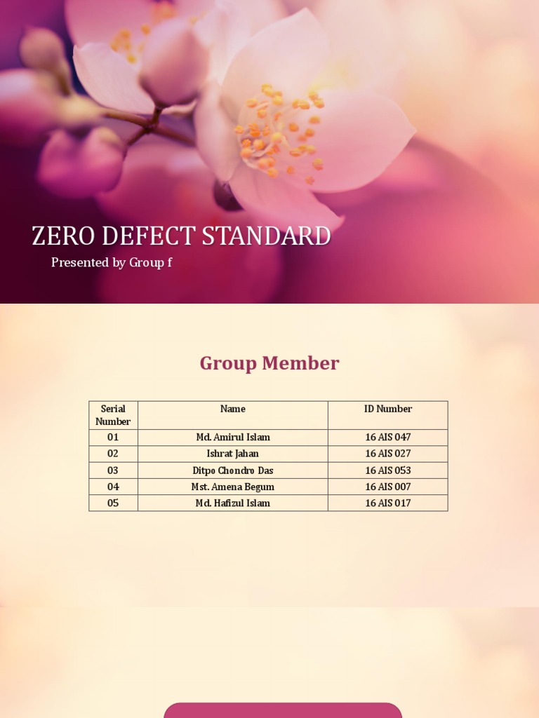 Zero Defect Standard: Presented by Group F | Download Free PDF | Six ...
