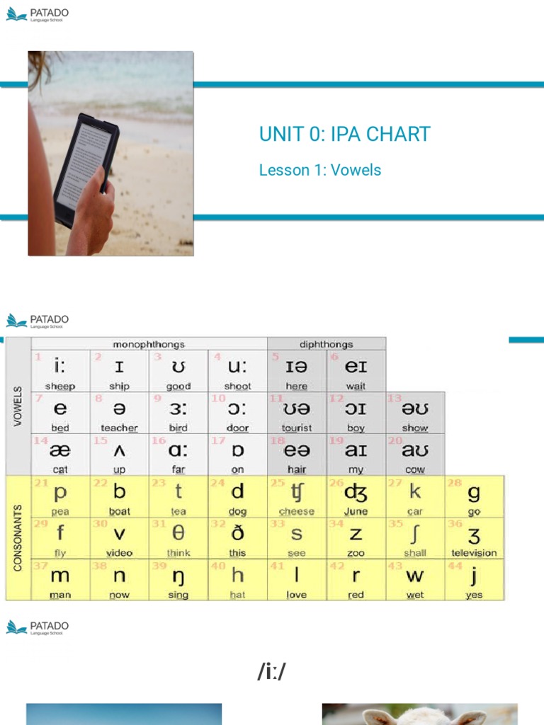 Unit 0: Ipa Chart: Lesson 1: Vowels | PDF