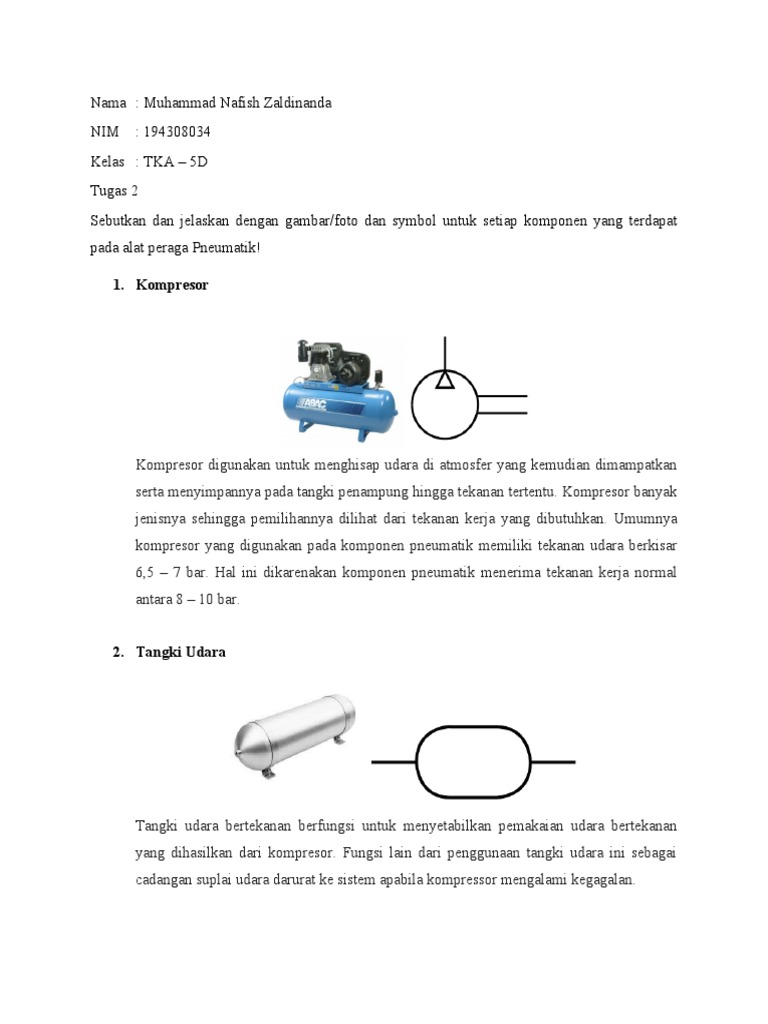 Muhammad Nafish Zaldinadna - 194308034 | PDF | Sains & Matematika | Komputer