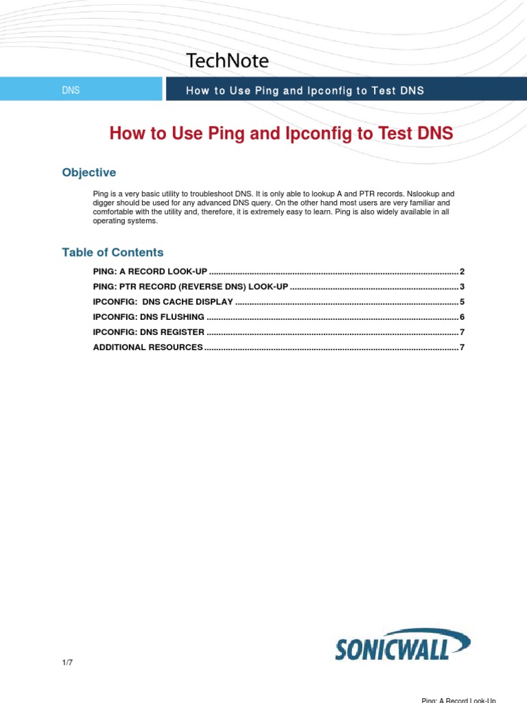 How To Use Ping and Ipconfig To Test DNS: Objective | PDF | Information ...