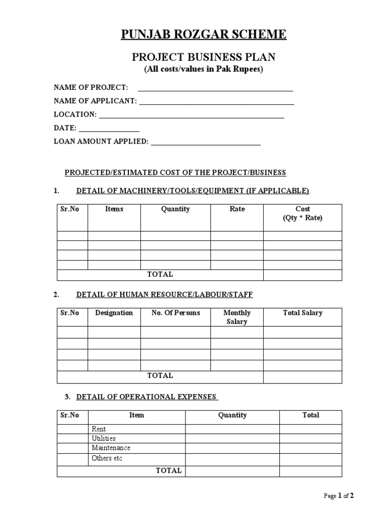 Punjab Rozgar Scheme: Project Business Plan | PDF