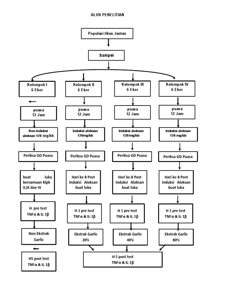 Alur Penelitian: Induksi Aloksan 120mg/bb Induksi Aloksan 120/mg/bb ...