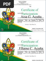 BSP Certificate | PDF | Scouting | Philippines
