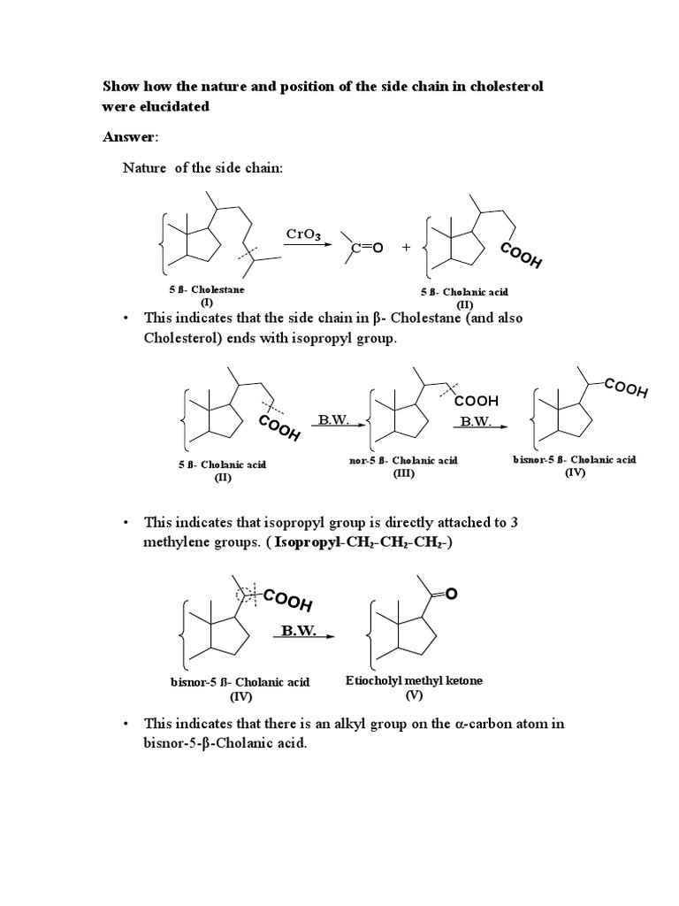 Steroids - Review Questions | PDF | Alkene | Ketone