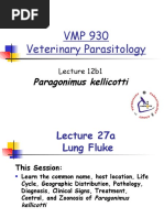 Paramphistomes | PDF