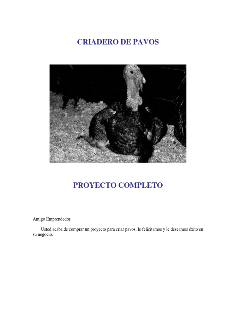 Pavos Manual | PDF | Cereales | Alimentos