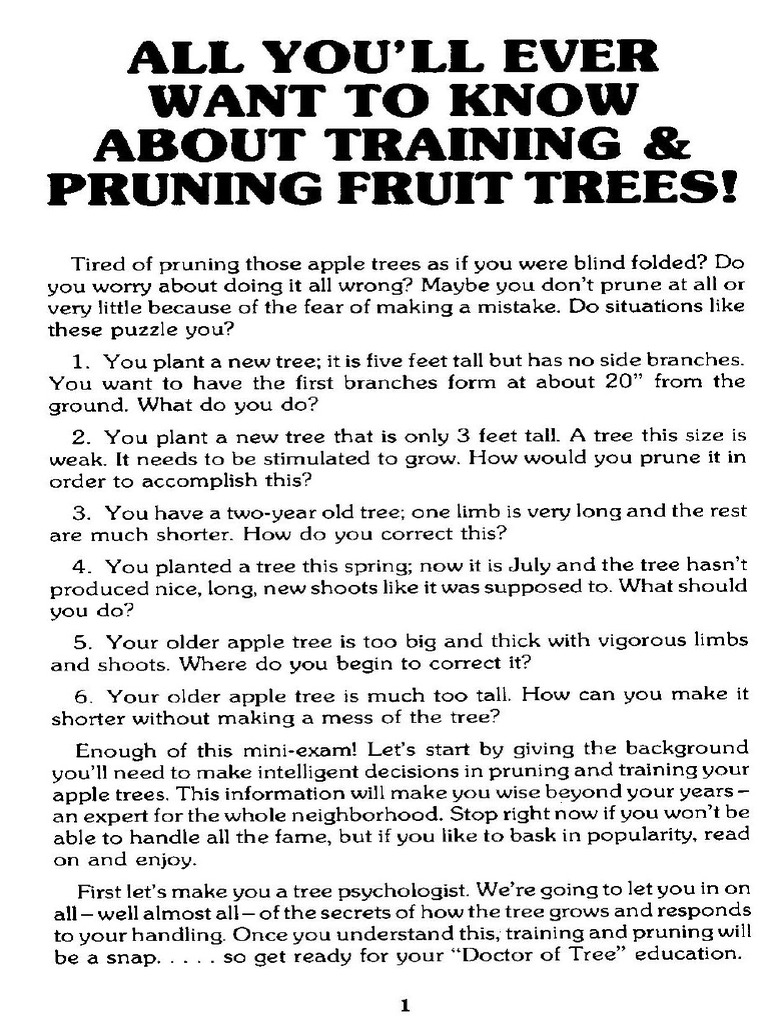 Fruit Tree Pruning Guide | PDF
