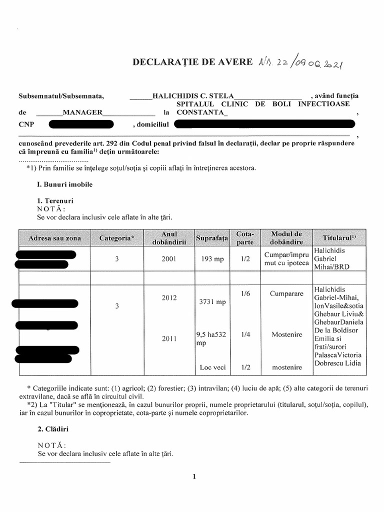 Halichidis Stela Declaratie de Avere 2021 | PDF
