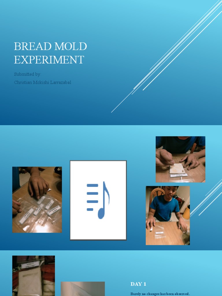 Bread Mold Experiment: Submitted By: Christian Mckishi Larrazabal | PDF ...