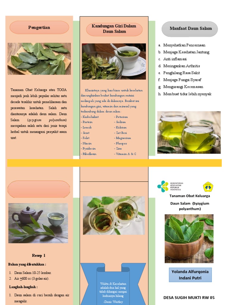 Leaflet Daun Salam | PDF