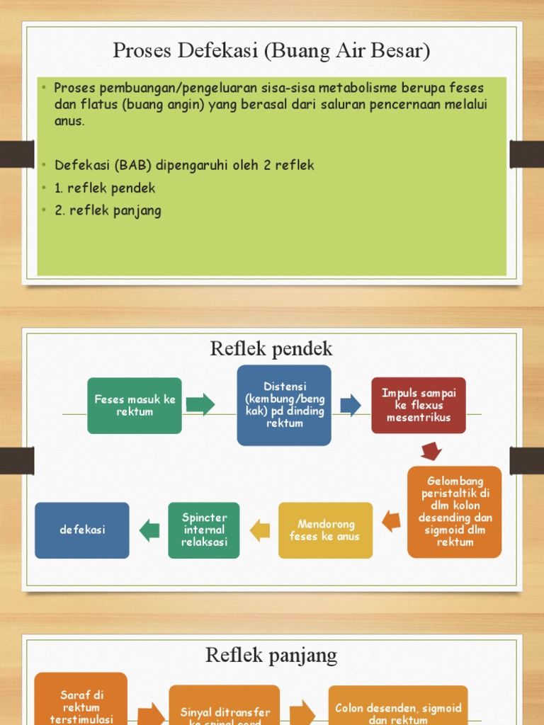 Mekanisme dan Proses Defekasi Manusia | PDF