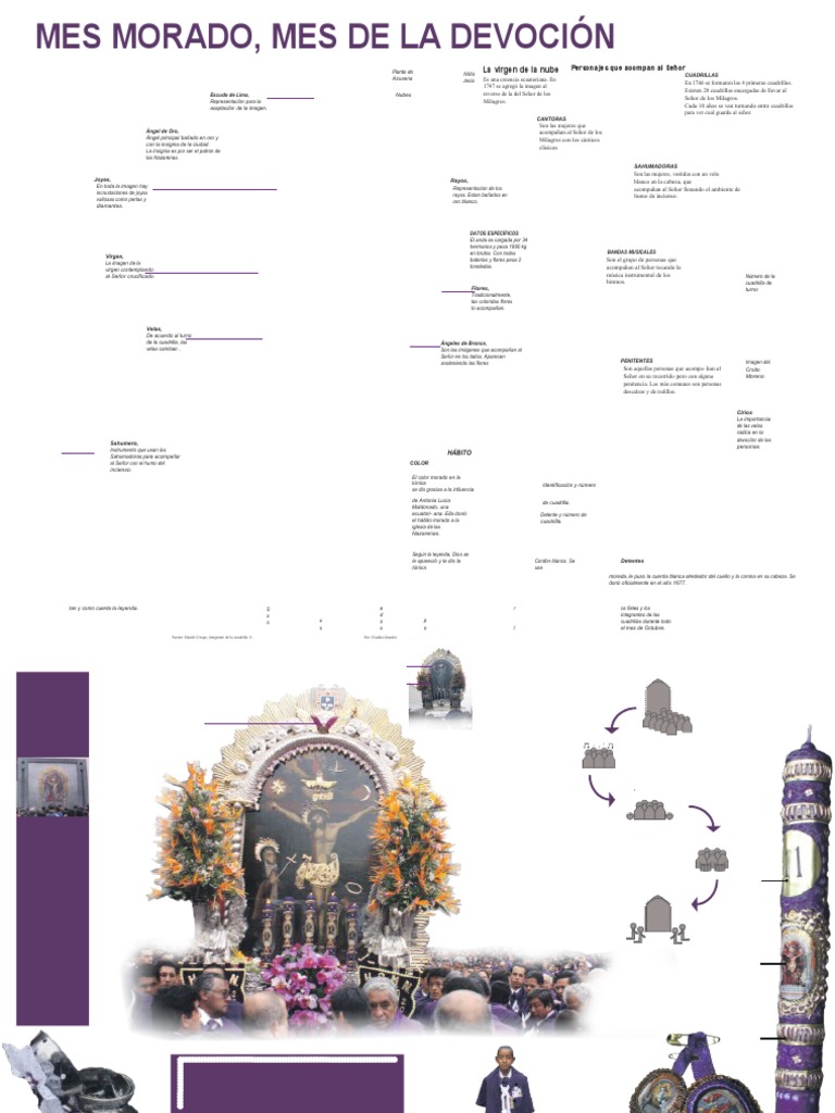 Infografia Mes Morado | PDF