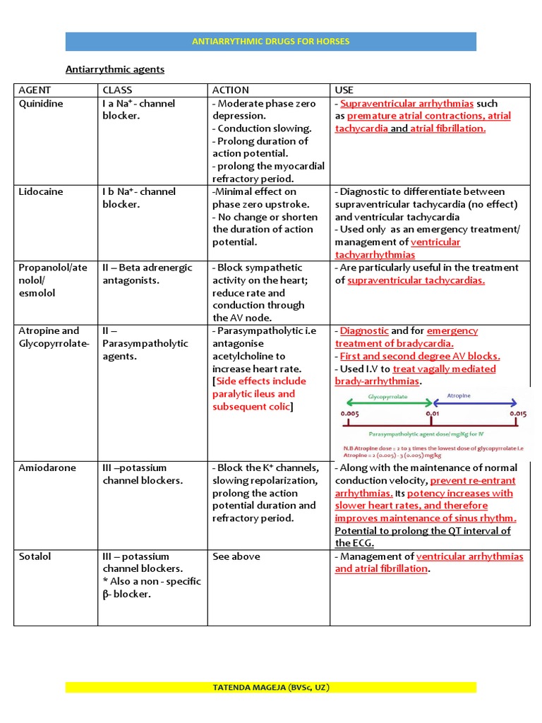 Horses Drugs | PDF | Diseases And Disorders | Electrophysiology
