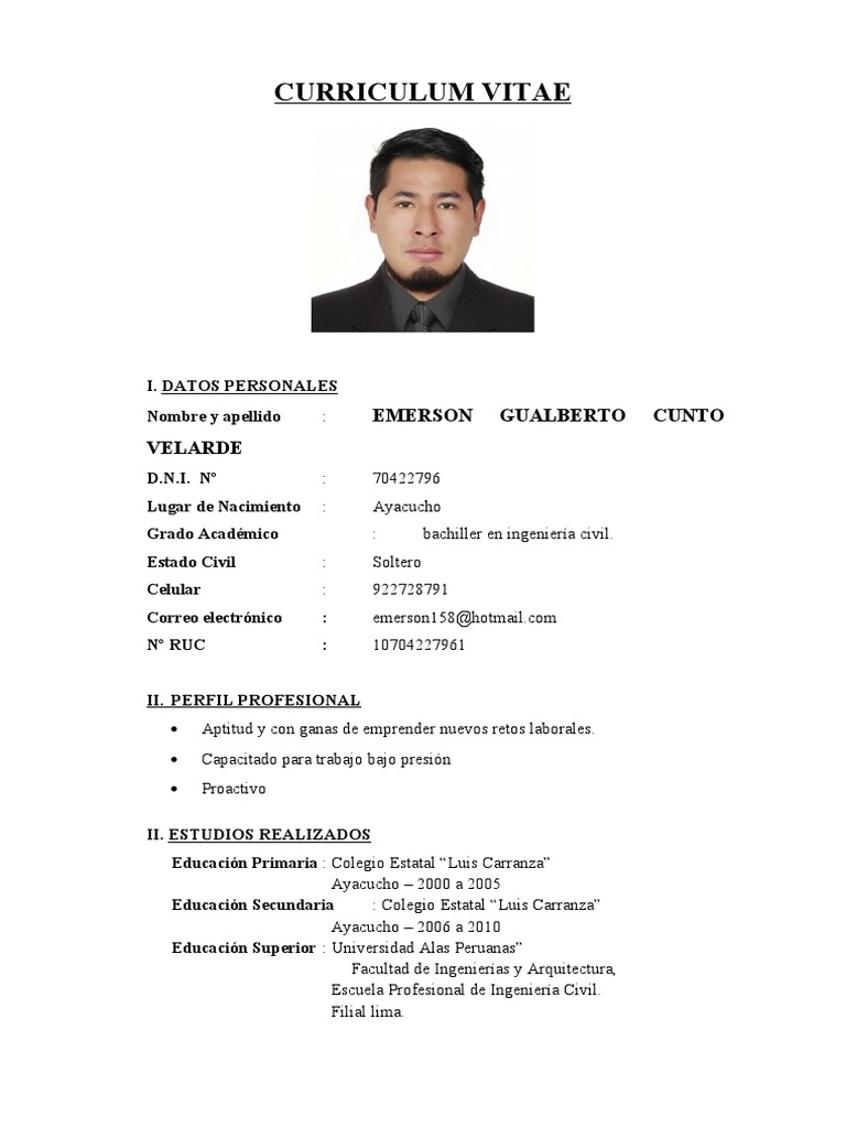 Curriculum Vitae 2021 Emerson | PDF