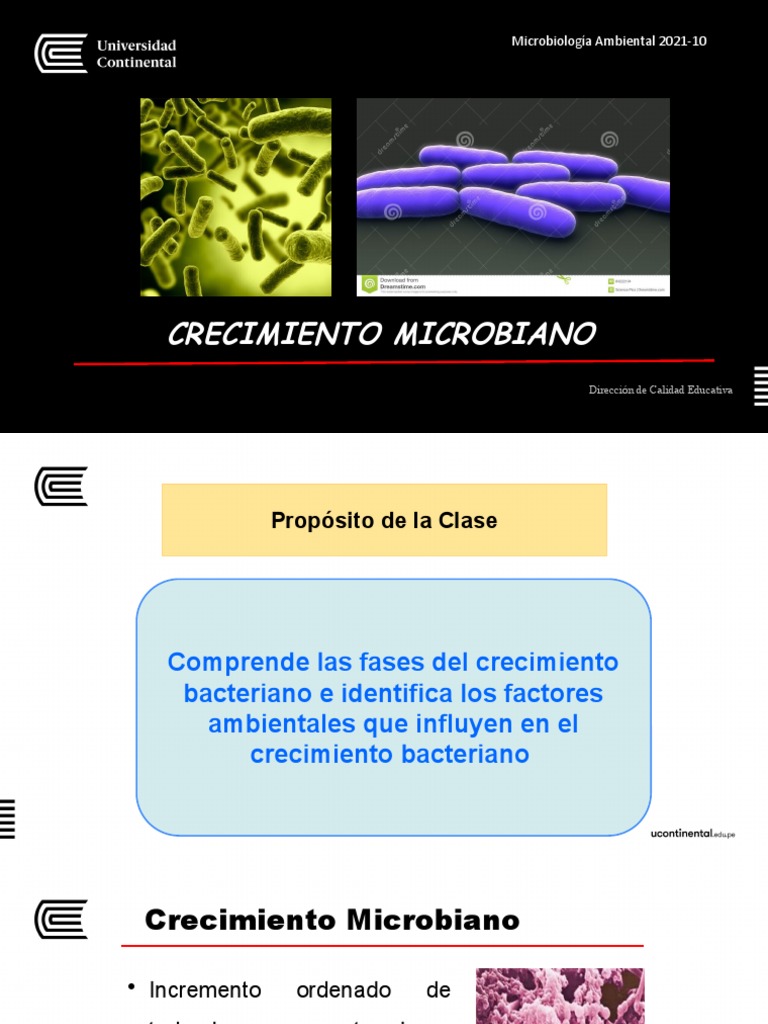 5 Crecimiento Microbiano 2021 1 | PDF | Ósmosis | Las bacterias