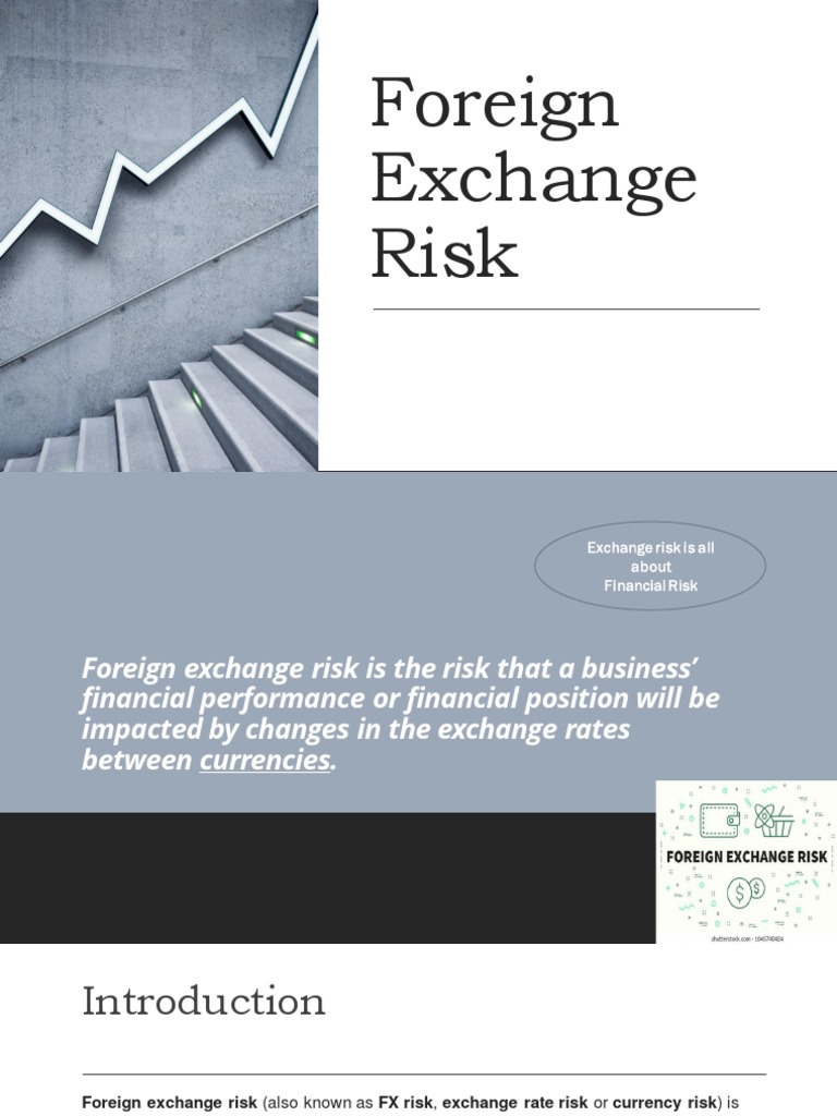 Foreign Exchange Risk | PDF | Exchange Rate | Hedge (Finance)