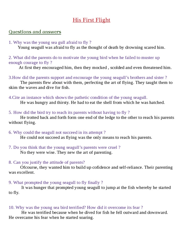 His First Flight: Questions and Answers | PDF