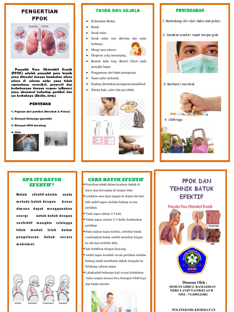 Moh Syahrul Ramadhan LEAFLET - PPOK | PDF