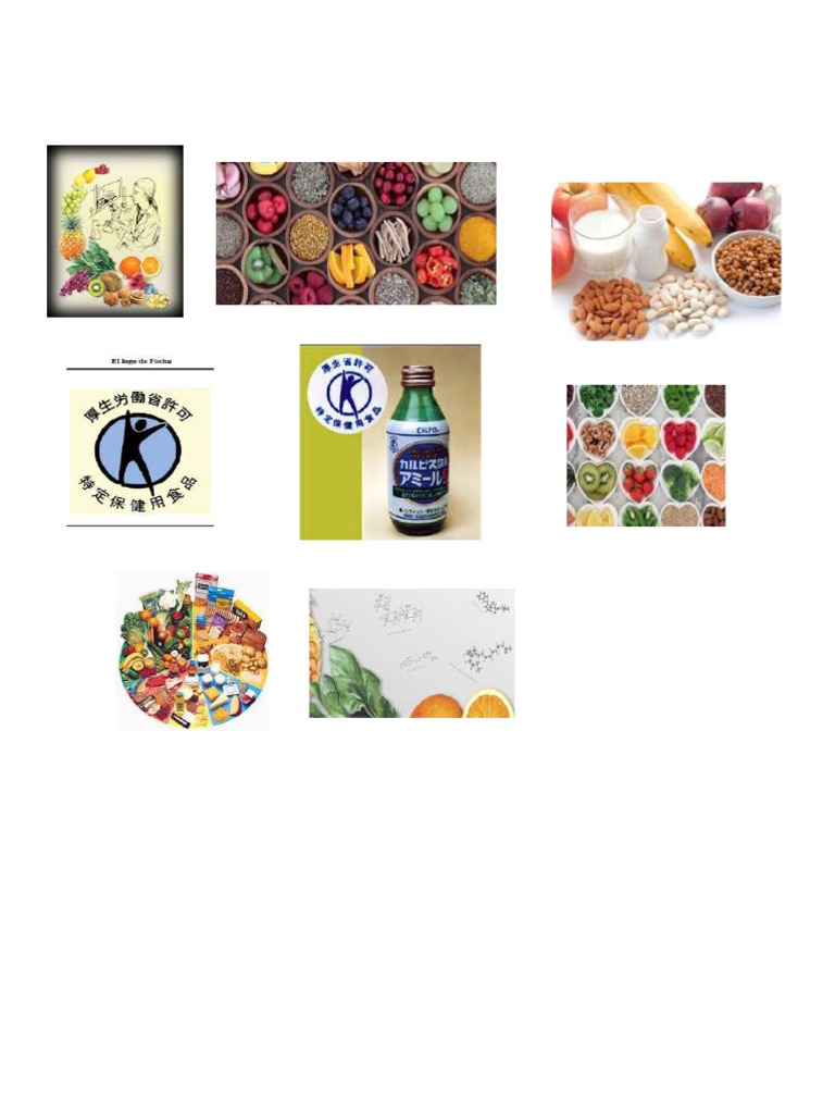 Alimentos Foshu | PDF