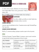 Línea Alba Oclusal | PDF | Enfermedades y trastornos | Boca