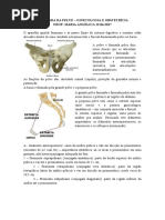 Tipos de Pelve e Suas Características | PDF