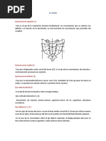 Nutación y Contranutación en la Pelvis | PDF | Pelvis | Sistema esquelético