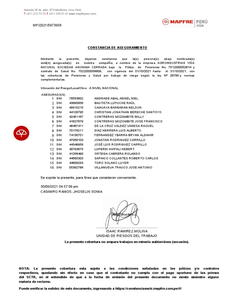 Modelo de SCTR | PDF
