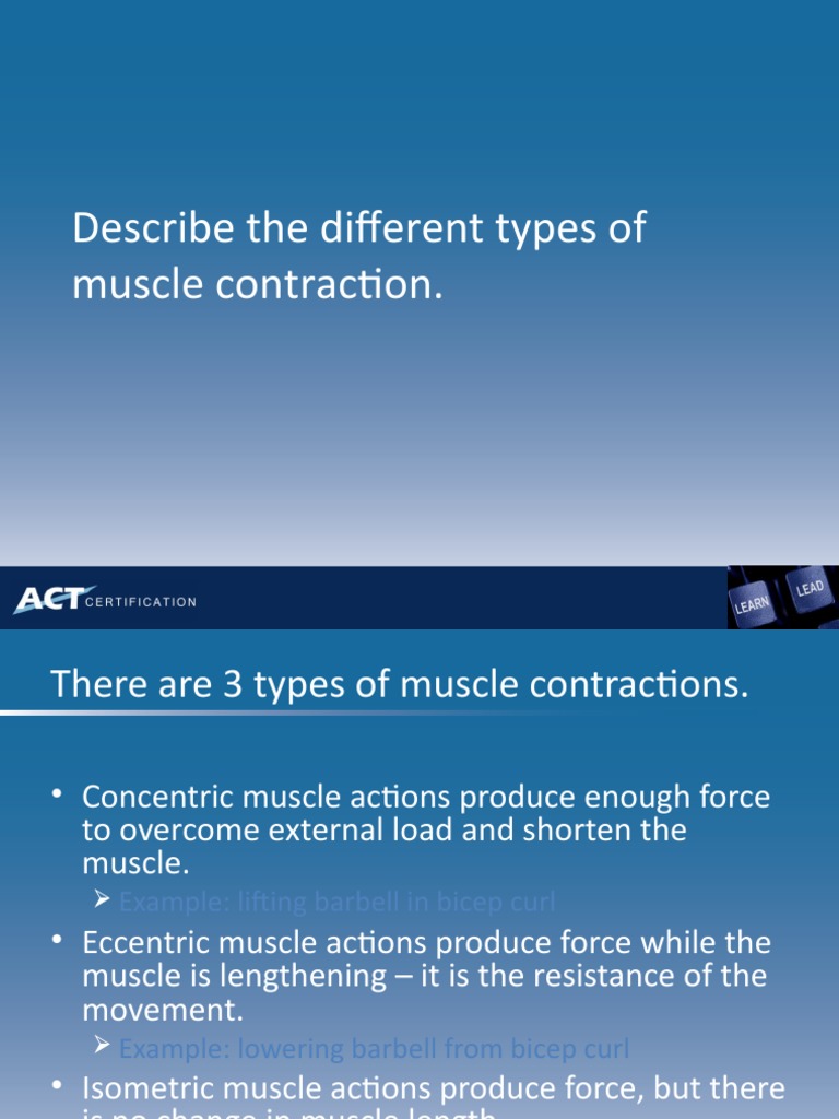 Personal Trainer Flashcards W Theme | PDF | Diabetes | Insulin