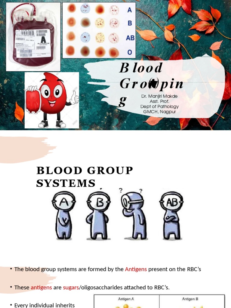 Blood Grouping | PDF | Blood Type | Serology