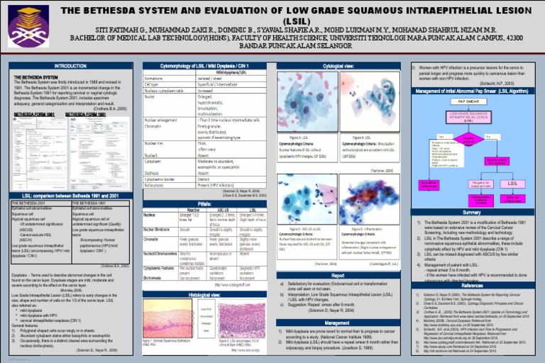 Bethesda System: LSIL Evaluation Guide | PDF | Glands | Cervical Cancer