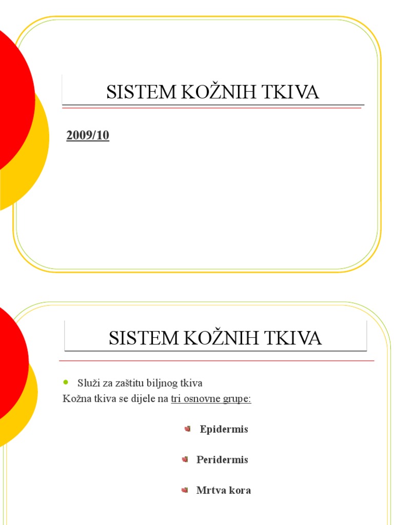 3 - Kožna Tkiva+meh - Tkiva | PDF