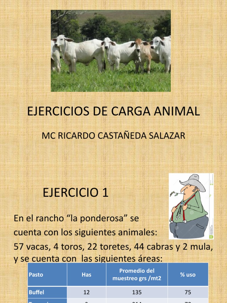 Ejercicios de Carga Animal | PDF | Animales domesticados | Mamíferos