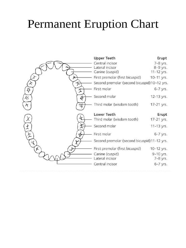 Eruption Charts | PDF