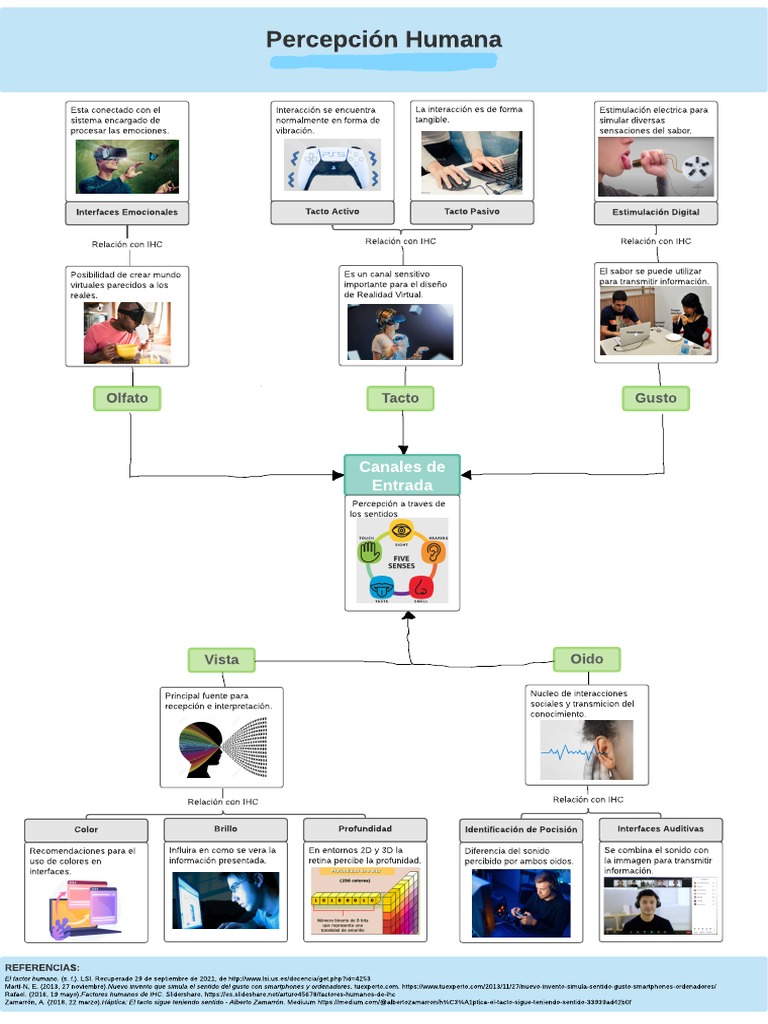 Percepción Humana | PDF | Percepción | Sistema nervioso