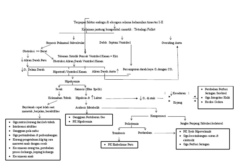 TOF Pathway | PDF