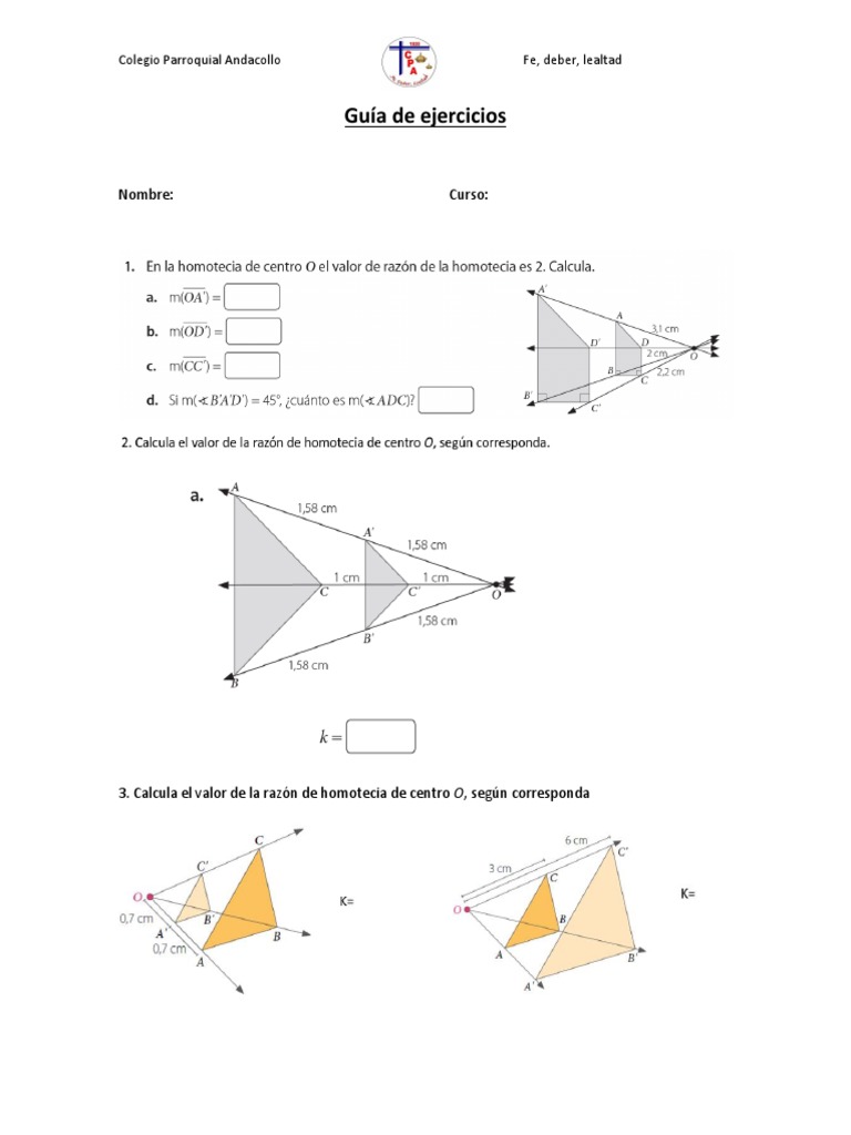 Guía de Ejercicios Homotecia Inversa y Directa | PDF